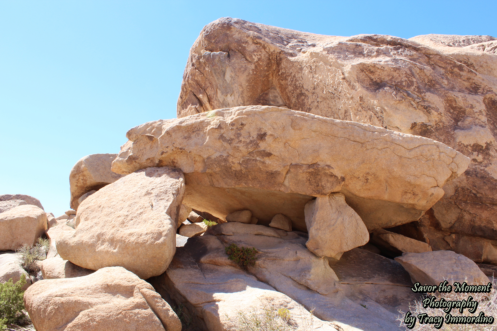 Hiking Cap Rock Trail in Joshua Tree National Park - Savor the Moment ...