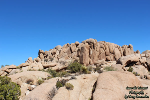 Hiking Skull Rock Nature Trail - Savor the Moment Photography