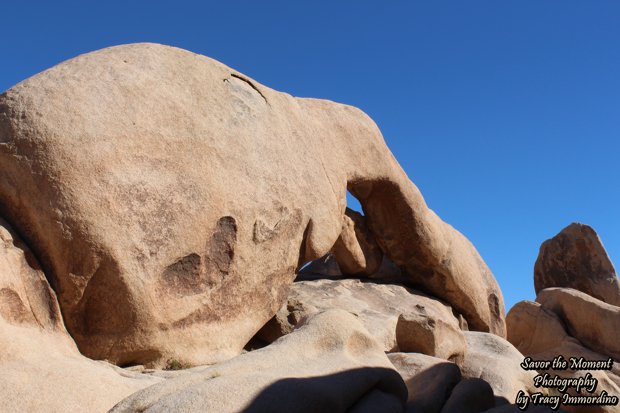 Hiking the Arch Rock Nature Trail - Savor the Moment Photography