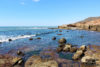 Visiting Point Loma Tide Pools - Savor the Moment Photography