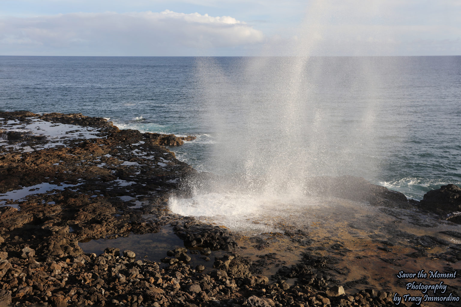 Visiting Spouting Horn Park - Savor the Moment Photography