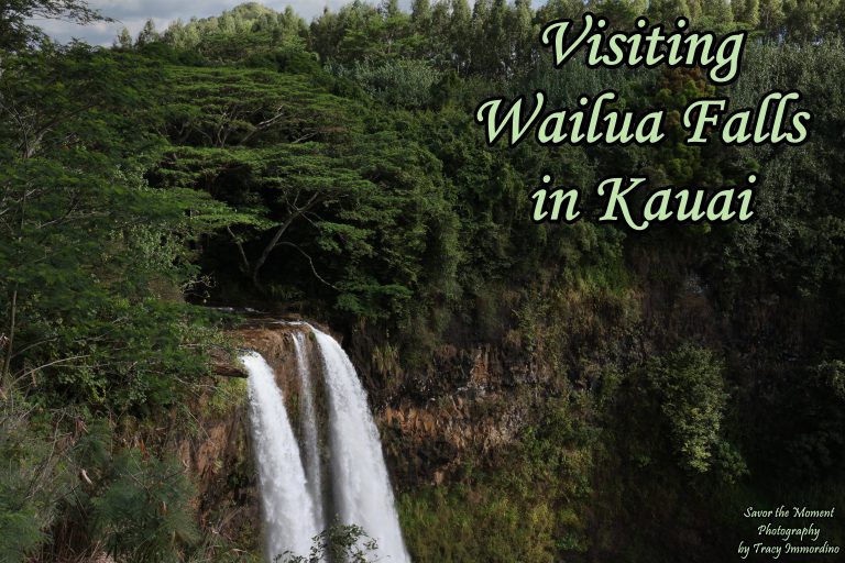 Visiting Wailua Falls in Kauai - Savor the Moment Photography