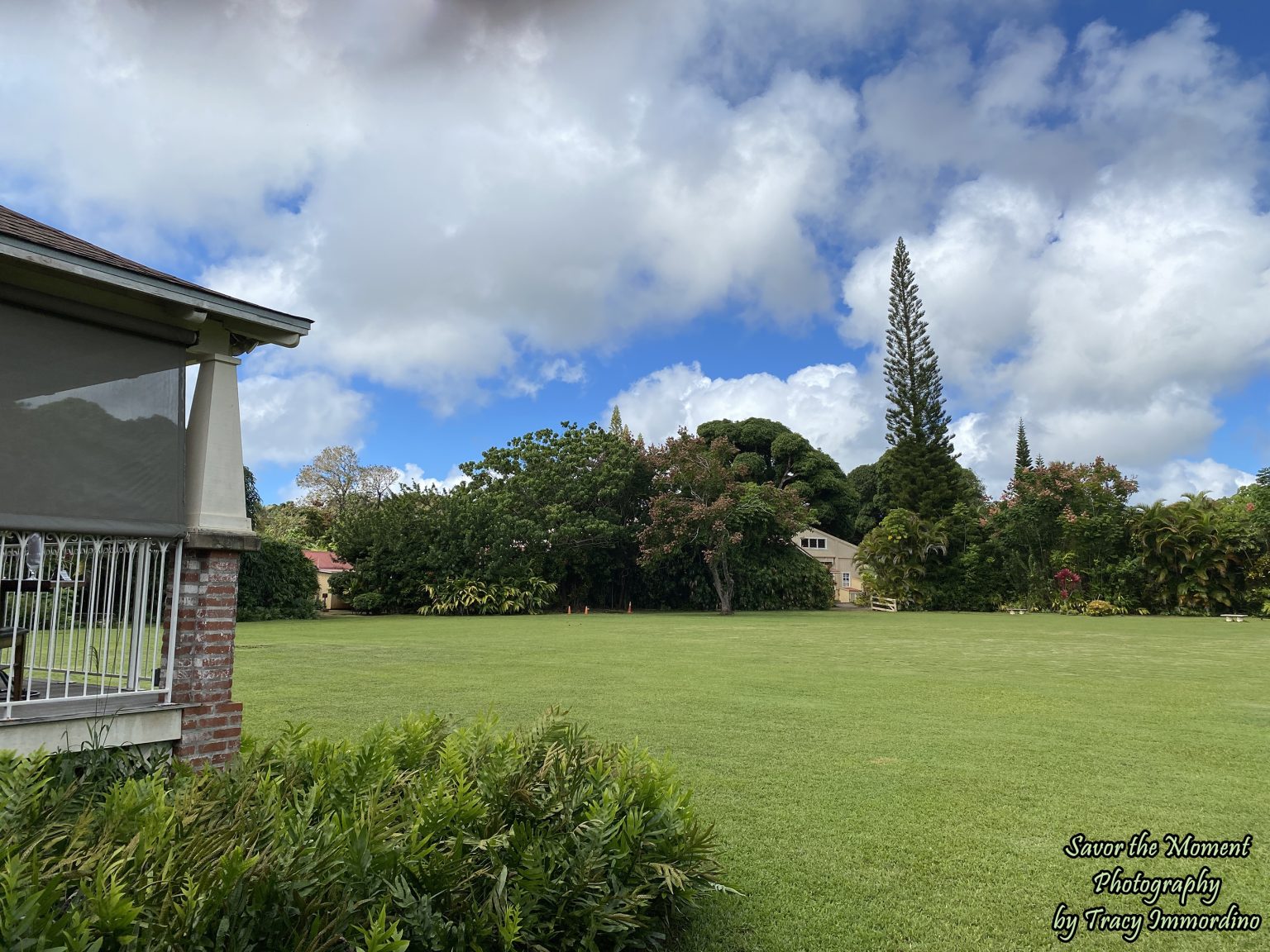 Visiting the Kilohana Plantation - Savor the Moment Photography