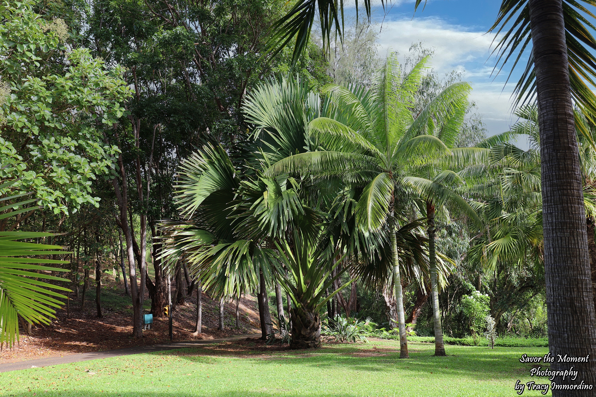 Visiting Na Aina Kai Botanical Gardens in Kauai - Savor the Moment ...