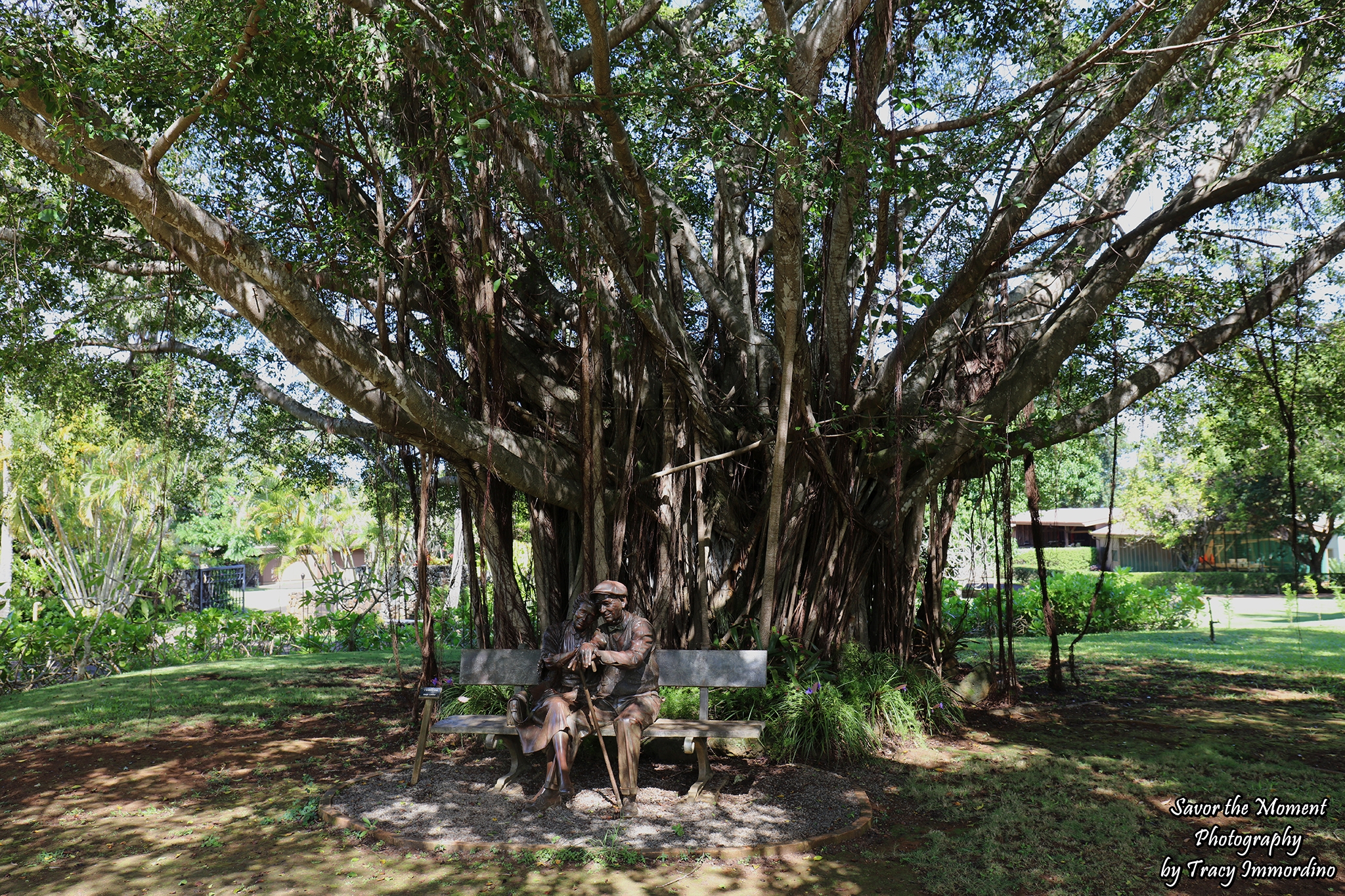 Visiting Na Aina Kai Botanical Gardens in Kauai - Savor the Moment ...