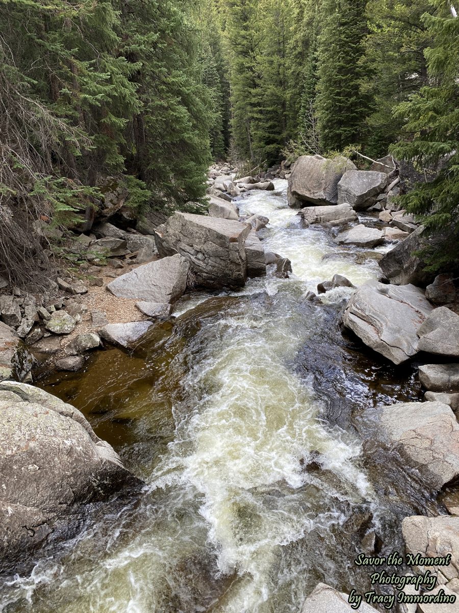 Hiking to Weller Lake in Aspen, Colorado - Savor the Moment Photography