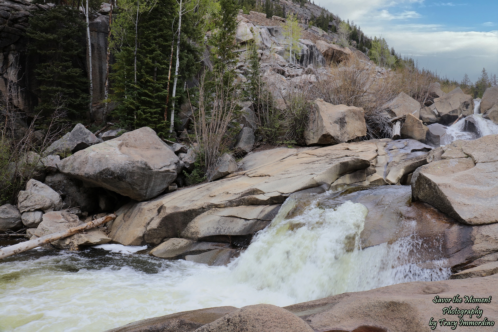 Visiting the Grottos ~ Near Aspen, Colorado - Savor the Moment Photography