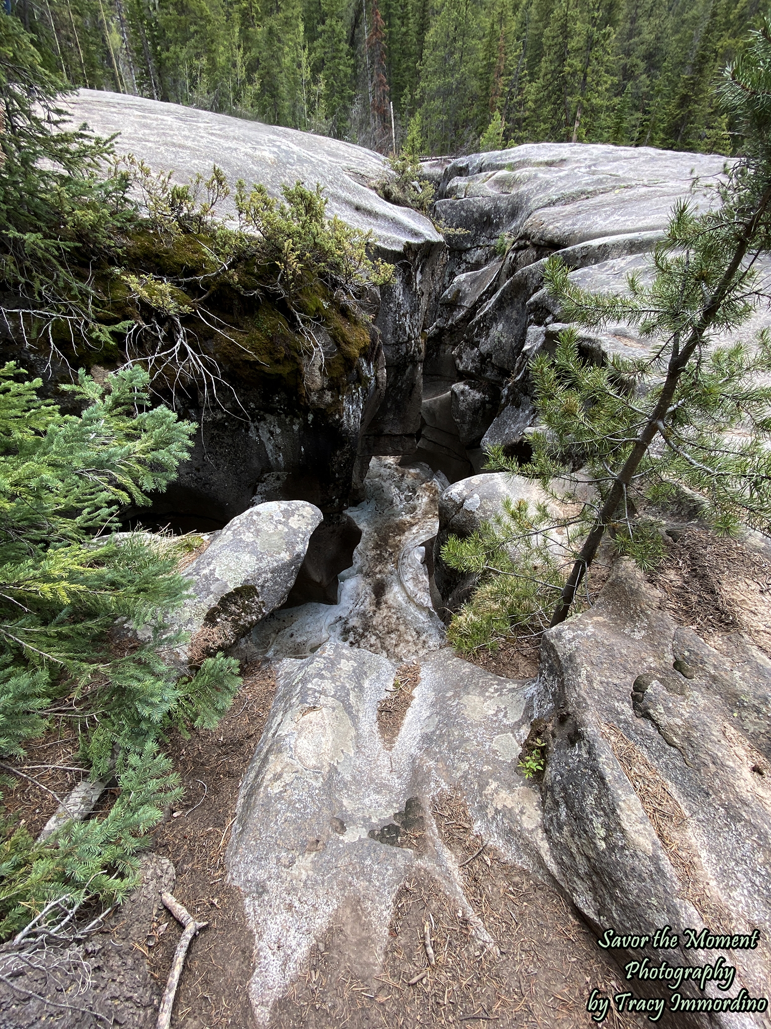 Visiting the Grottos ~ Near Aspen, Colorado - Savor the Moment Photography