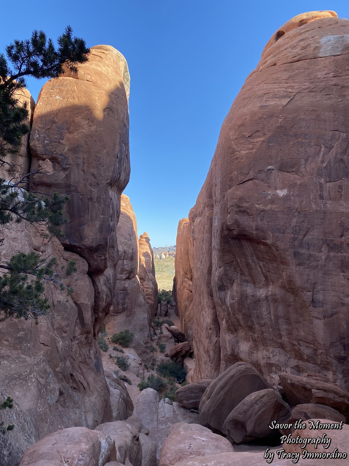Hiking Sand Dune Arch and Broken Arch Trail - Savor the Moment Photography